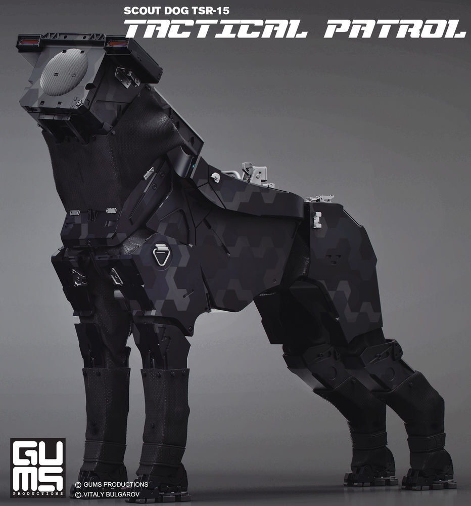 1/6 TSR-15 Scout Dog! | D.B.R.C. RACING